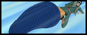 Dynamic Entry | Ninkai Taisen Wiki | Fandom