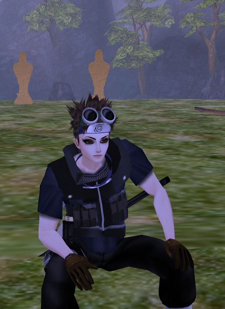 Team Ryu Training Session | NinRp Wiki | Fandom