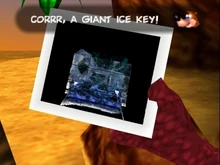 Banjo-Kazooie | Nintendo 64 Wiki | Fandom