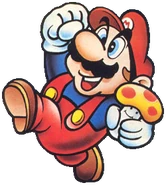Mario | Nintendo Club Wiki | Fandom