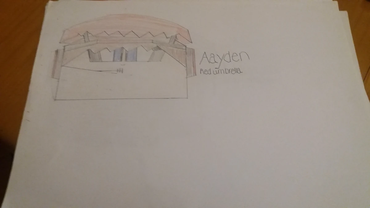 Aayden Garret | Nintendo Gamers Team Wiki | Fandom