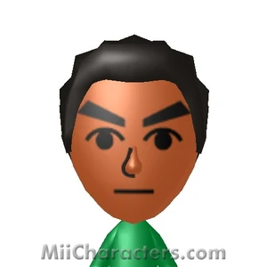 Mii | Nintendo Land Wiki | Fandom