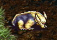 Beast | Nintendo | Fandom