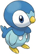 Piplup/gallery | Nintendo | Fandom