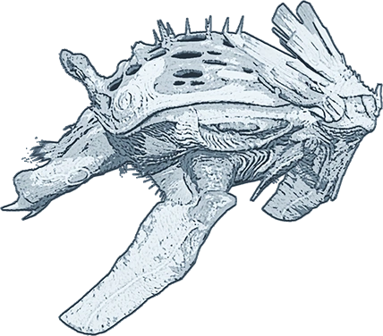 Genbu | Nintendo | Fandom