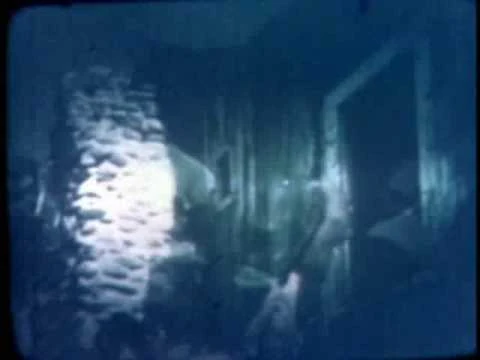 Wild Gunman (arcade) | Nintendo | Fandom