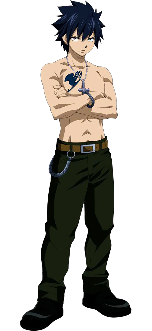 Gray Fullbuster | Nintendo | Fandom