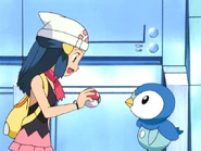 Dawn (Pokémon Trainer)/gallery | Nintendo | Fandom