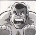Fighter Hayabusa | Nintendo Wiki | Fandom