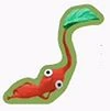 Red Pikmin/gallery | Nintendo | Fandom