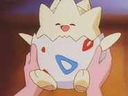 Togepi/gallery | Nintendo | Fandom