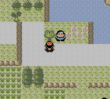 Nintendo:Pokémon Crystal walkthrough | Nintendo | Fandom