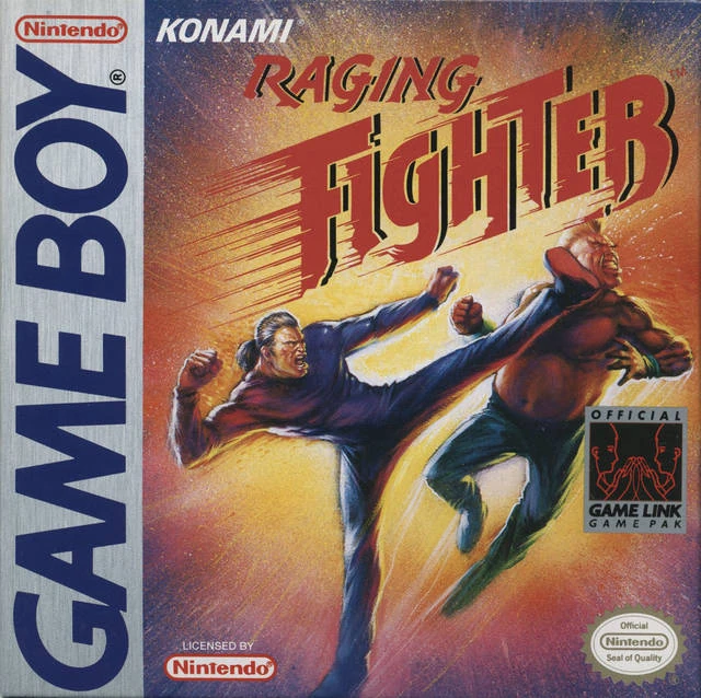 Raging Fighter | Nintendo | Fandom