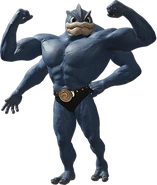 Machamp/gallery | Nintendo | Fandom