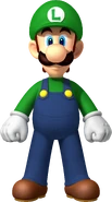 New Super Mario Bros. Wii/gallery | Nintendo | Fandom