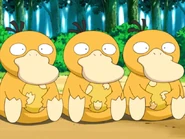 Psyduck/gallery | Nintendo | Fandom