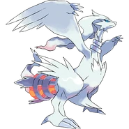 Reshiram/gallery | Nintendo | Fandom