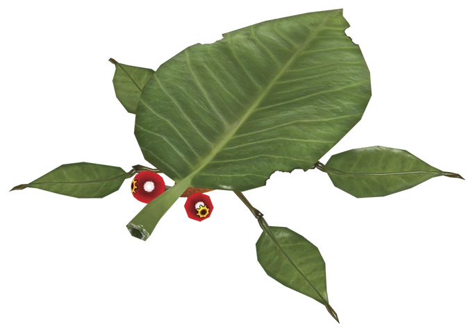 Skitter Leaf | Nintendo | Fandom