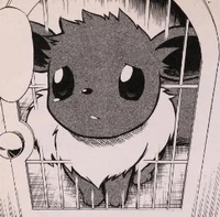 Eeveelutions | Nintendo | Fandom