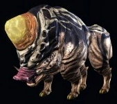 Suid | Nintendo | Fandom