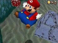 Power Flower (Super Mario 64 DS) | Nintendo | Fandom