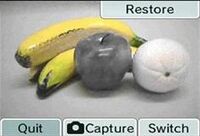 Nintendo DSi Camera | Nintendo | Fandom