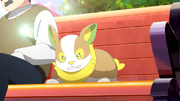 Yamper | Nintendo | Fandom
