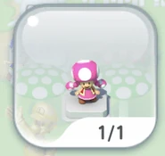 Toadette/gallery | Nintendo | Fandom