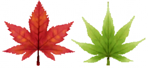 Arboreal Frippery | Nintendo | Fandom