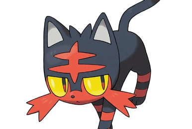 snover evolution level shield