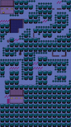 Ilex Forest | Nintendo | Fandom