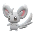Minccino | Nintendo | Fandom