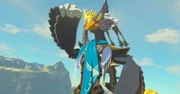 Revali | Nintendo | Fandom