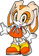 Sonic Advance 2/gallery | Nintendo | Fandom