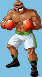 Bald Bull | Nintendo | Fandom