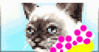 Petz: Catz Clan/gallery | Nintendo | Fandom