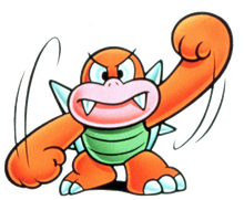 Boom Boom | Nintendo | Fandom