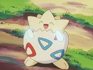 Togepi/gallery | Nintendo | Fandom