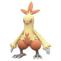 Torchic | Nintendo | Fandom