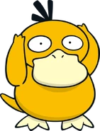Psyduck/gallery | Nintendo | Fandom