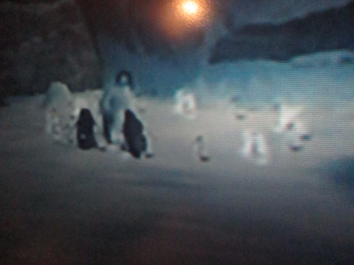 Vibe Spot | Nintendo | Fandom