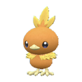 Torchic | Nintendo | Fandom