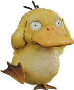 Psyduck/gallery | Nintendo | Fandom