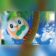 Rowlet/gallery | Nintendo | Fandom
