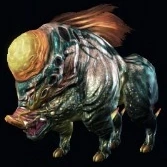 Suid | Nintendo | Fandom