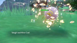 Mirror Coat | Nintendo | Fandom