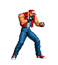Terry Bogard/gallery | Nintendo | Fandom