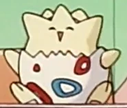 Togepi/gallery | Nintendo | Fandom