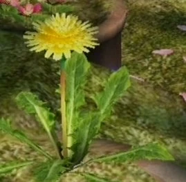 Dandelion | Nintendo | Fandom