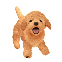 Dog (Nintendogs) | Nintendo | Fandom